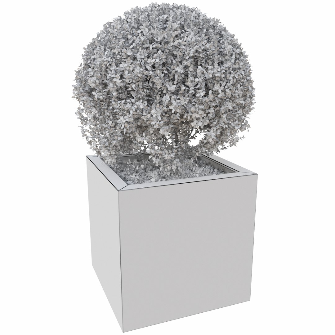 Buxus Bush Ball 3D - TurboSquid 1325449