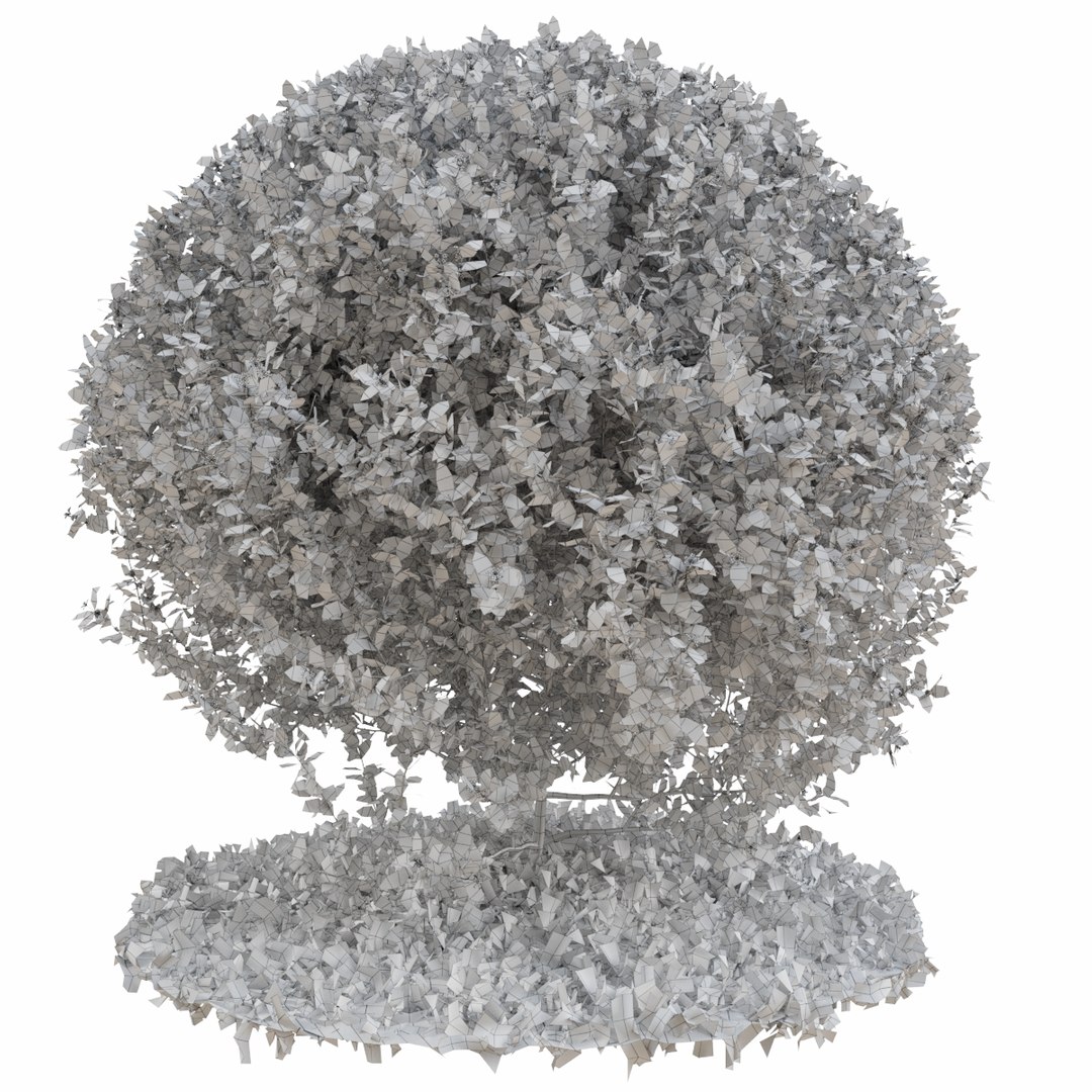 Buxus Bush Ball 3D - TurboSquid 1325449