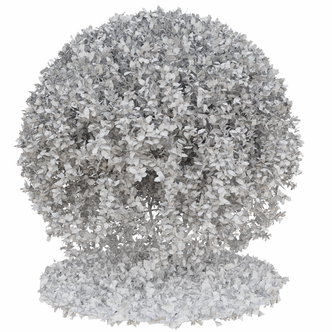 Buxus Bush Ball 3D - TurboSquid 1325449