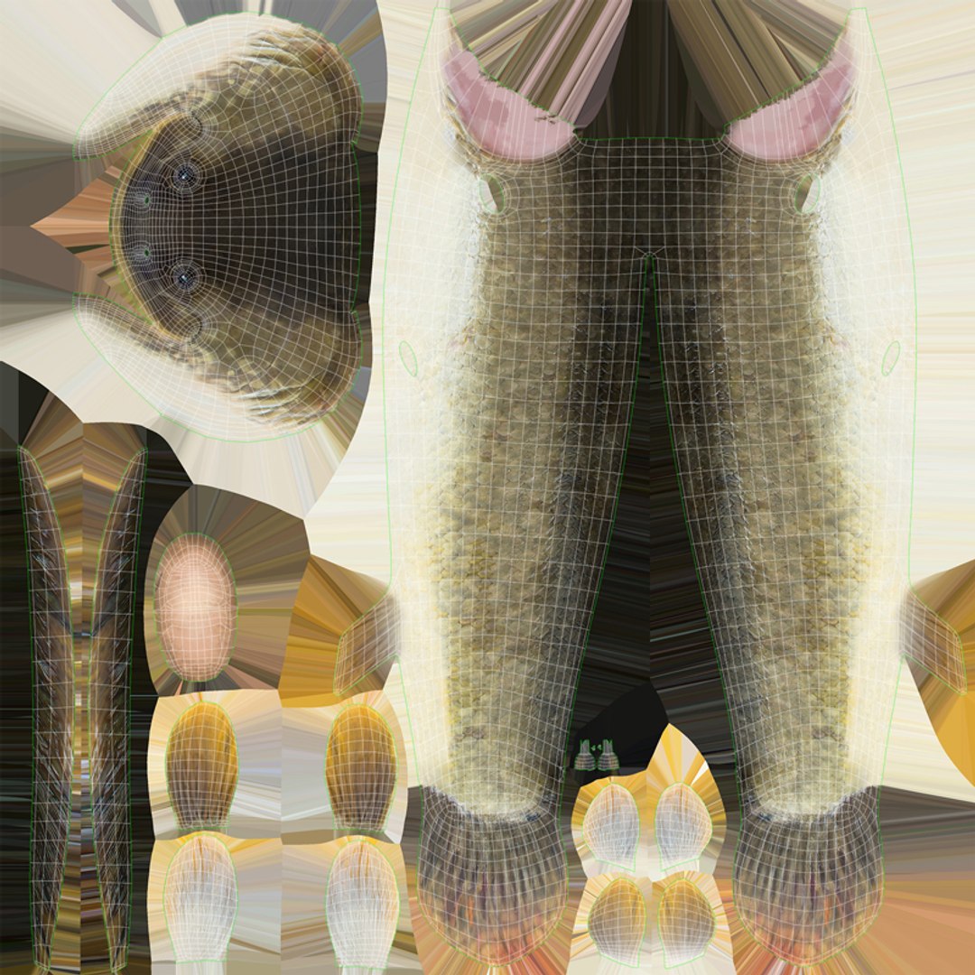 3D Bowfin Fish Animated Model - TurboSquid 1824097