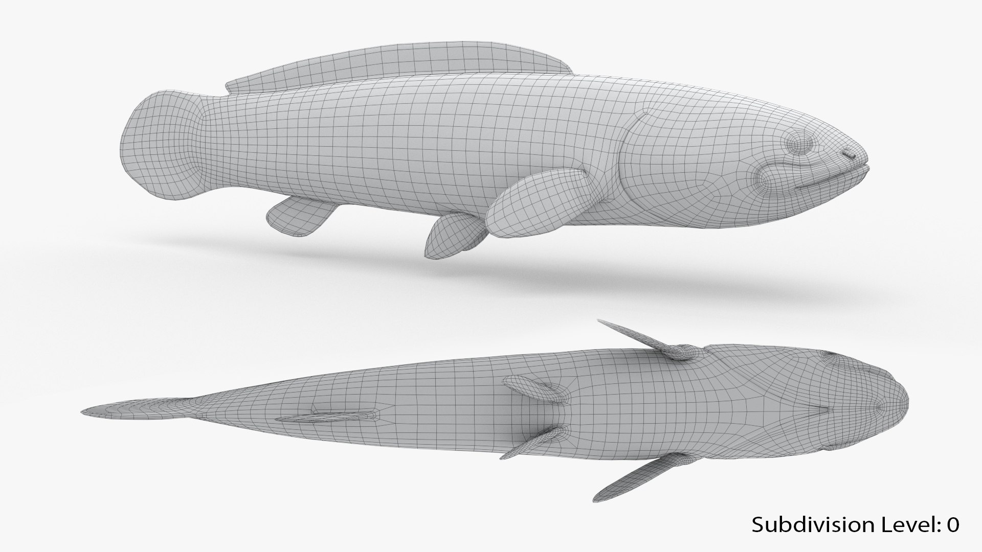 3D Bowfin Fish Animated Model - TurboSquid 1824097