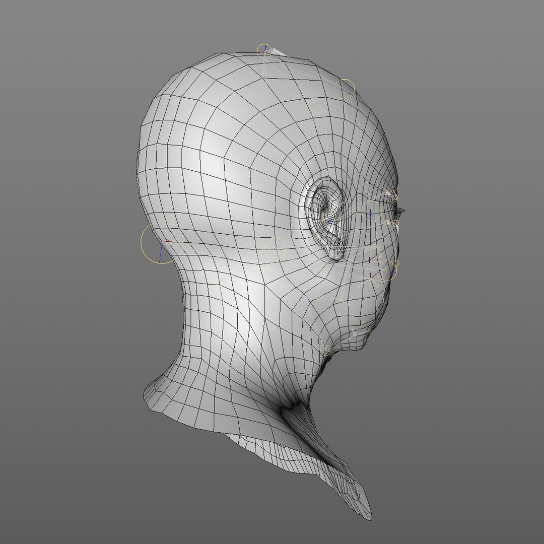 Realistic head base mesh 3D model - TurboSquid 1438807