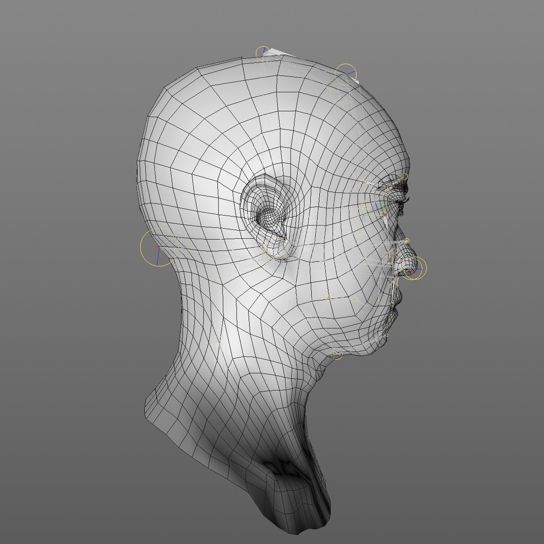 Realistic head base mesh 3D model - TurboSquid 1438807