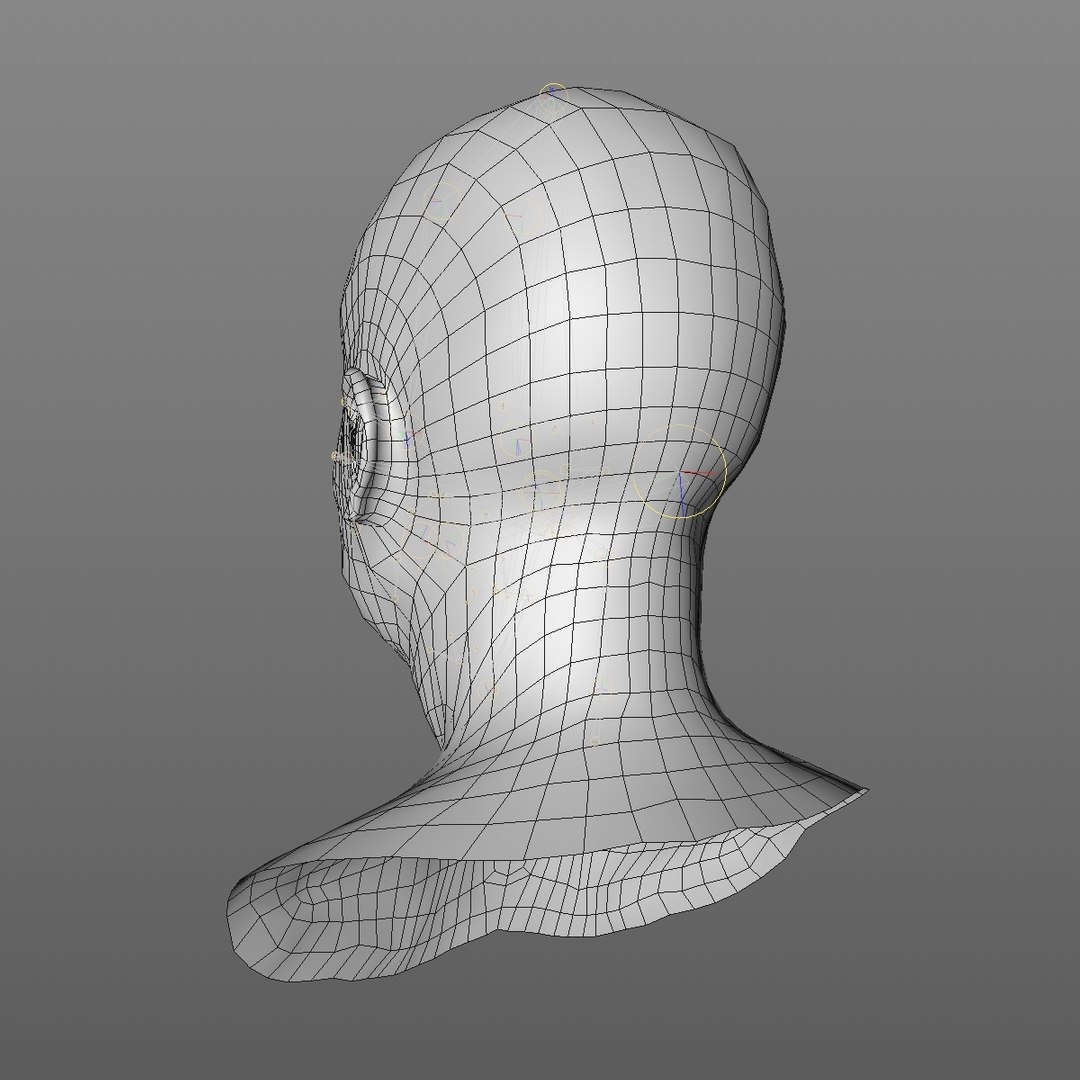 Realistic head base mesh 3D model - TurboSquid 1438807
