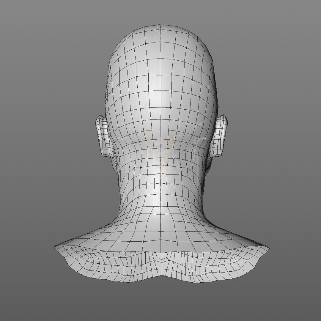 Realistic head base mesh 3D model - TurboSquid 1438807
