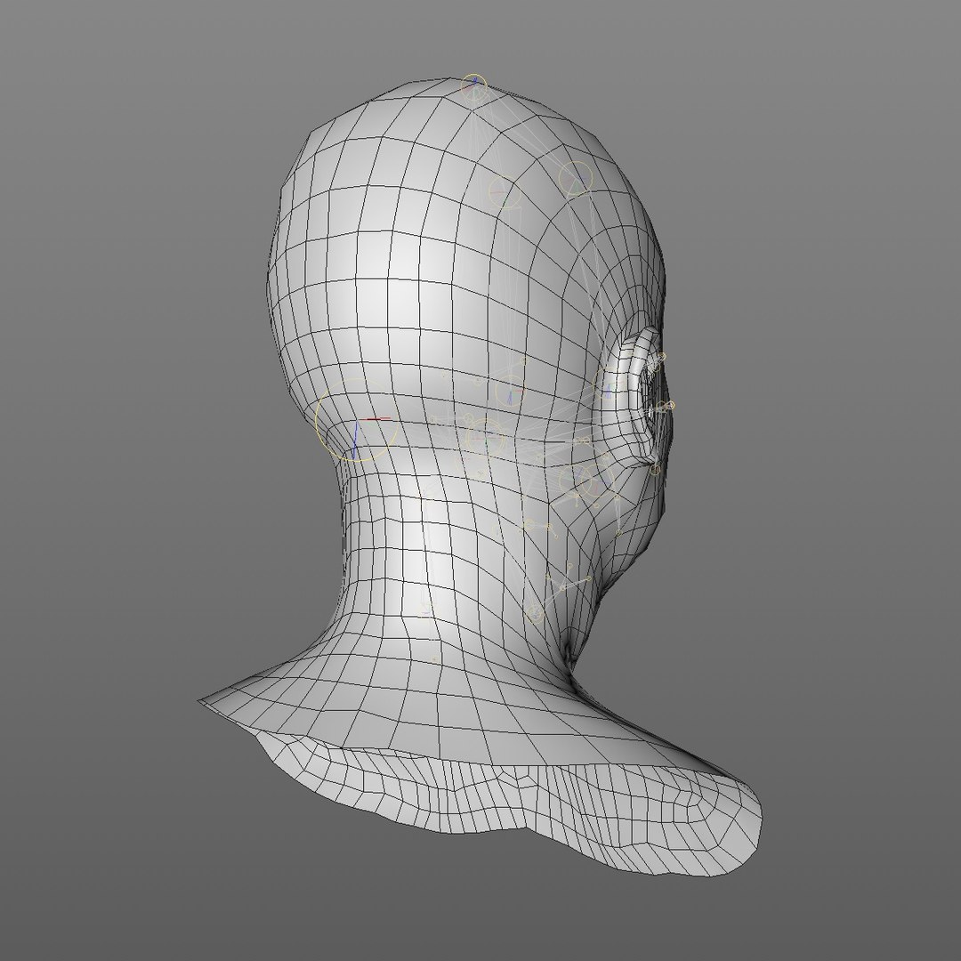 Realistic head base mesh 3D model - TurboSquid 1438807