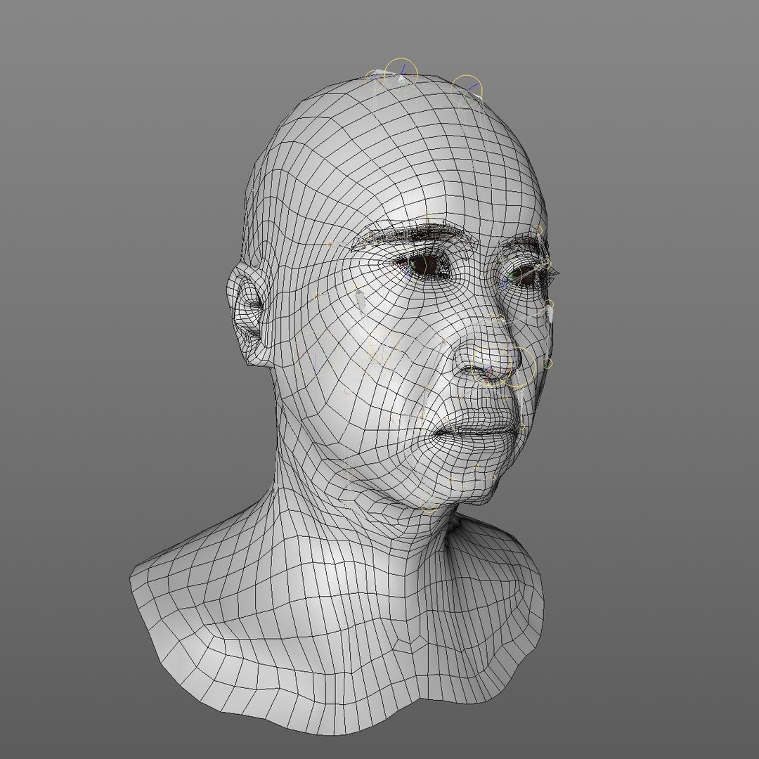 Realistic head base mesh 3D model - TurboSquid 1438807