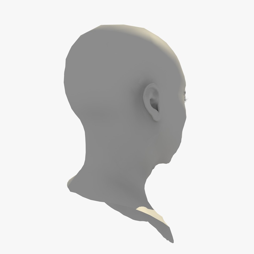 Realistic Head Base Mesh 3D Model - TurboSquid 1438807