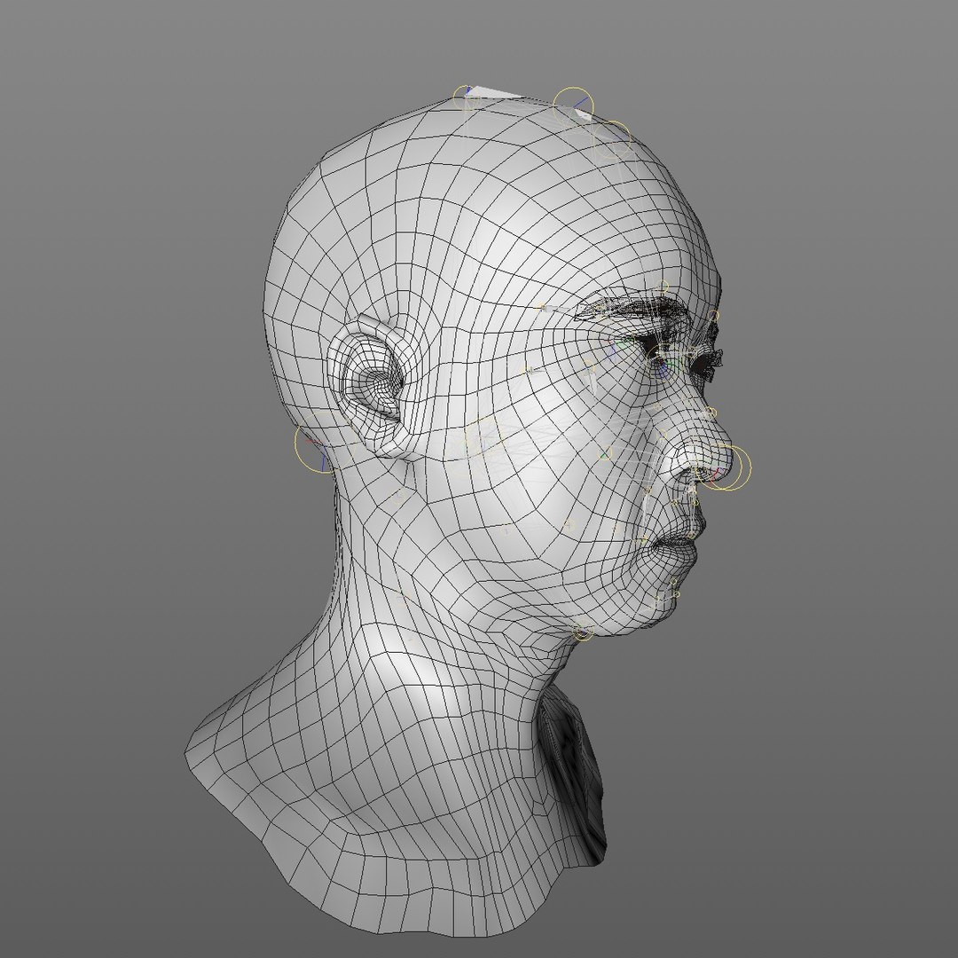 Realistic head base mesh 3D model - TurboSquid 1438807