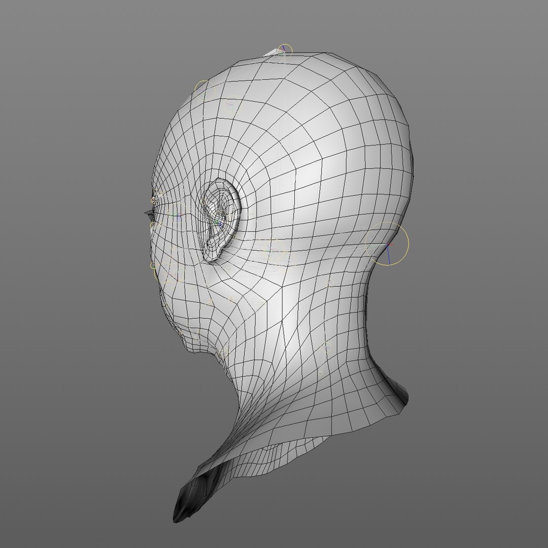 Realistic head base mesh 3D model - TurboSquid 1438807