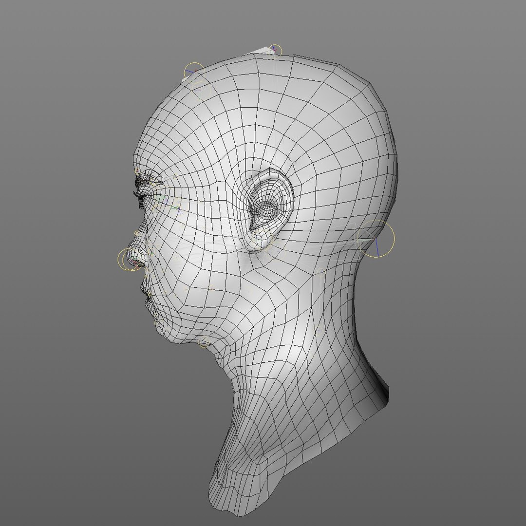 Realistic head base mesh 3D model - TurboSquid 1438807