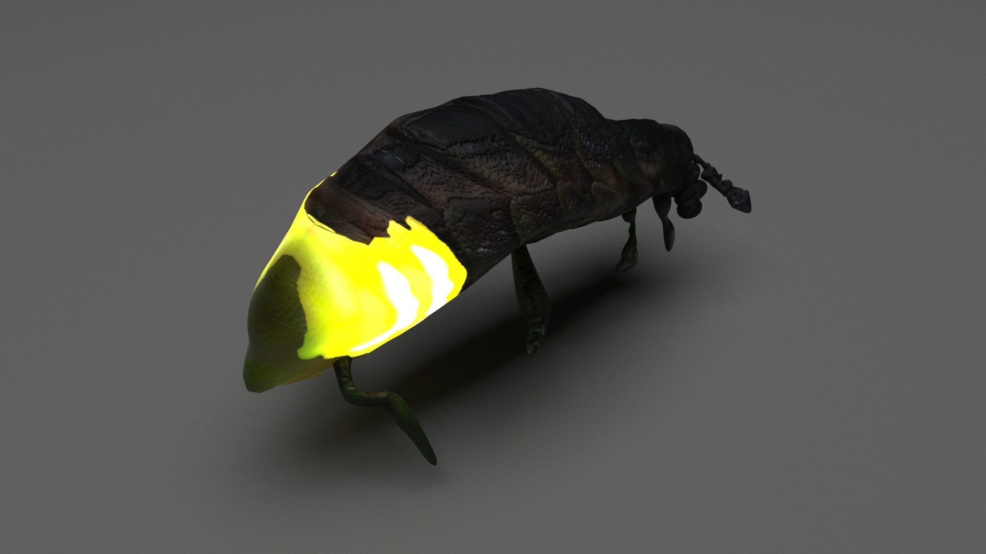 Glow Worm 3D Model - TurboSquid 2279098