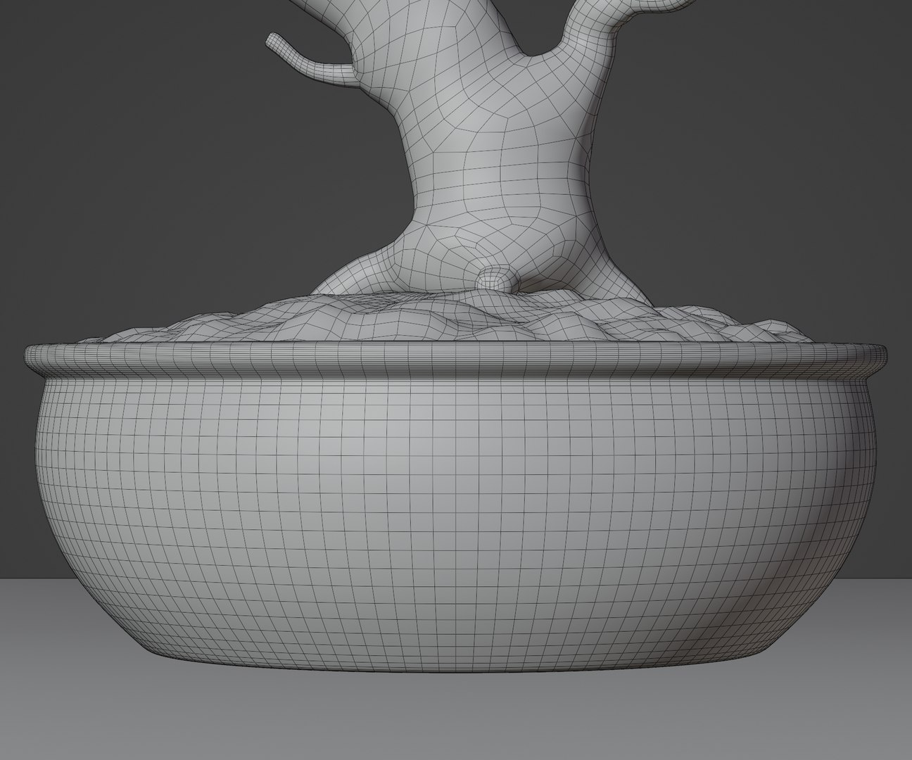 Bonsai Tree 3d Model 3D - TurboSquid 1987545