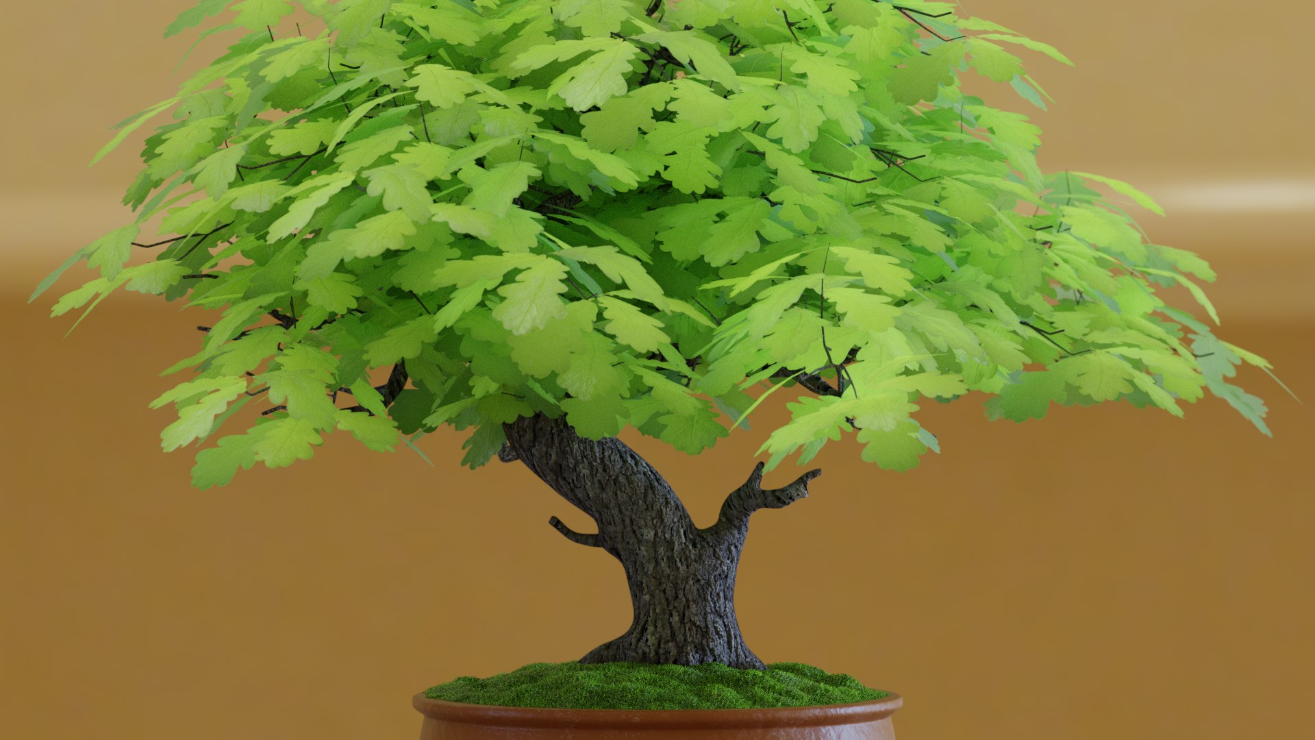 Bonsai Tree 3d Model 3D - TurboSquid 1987545