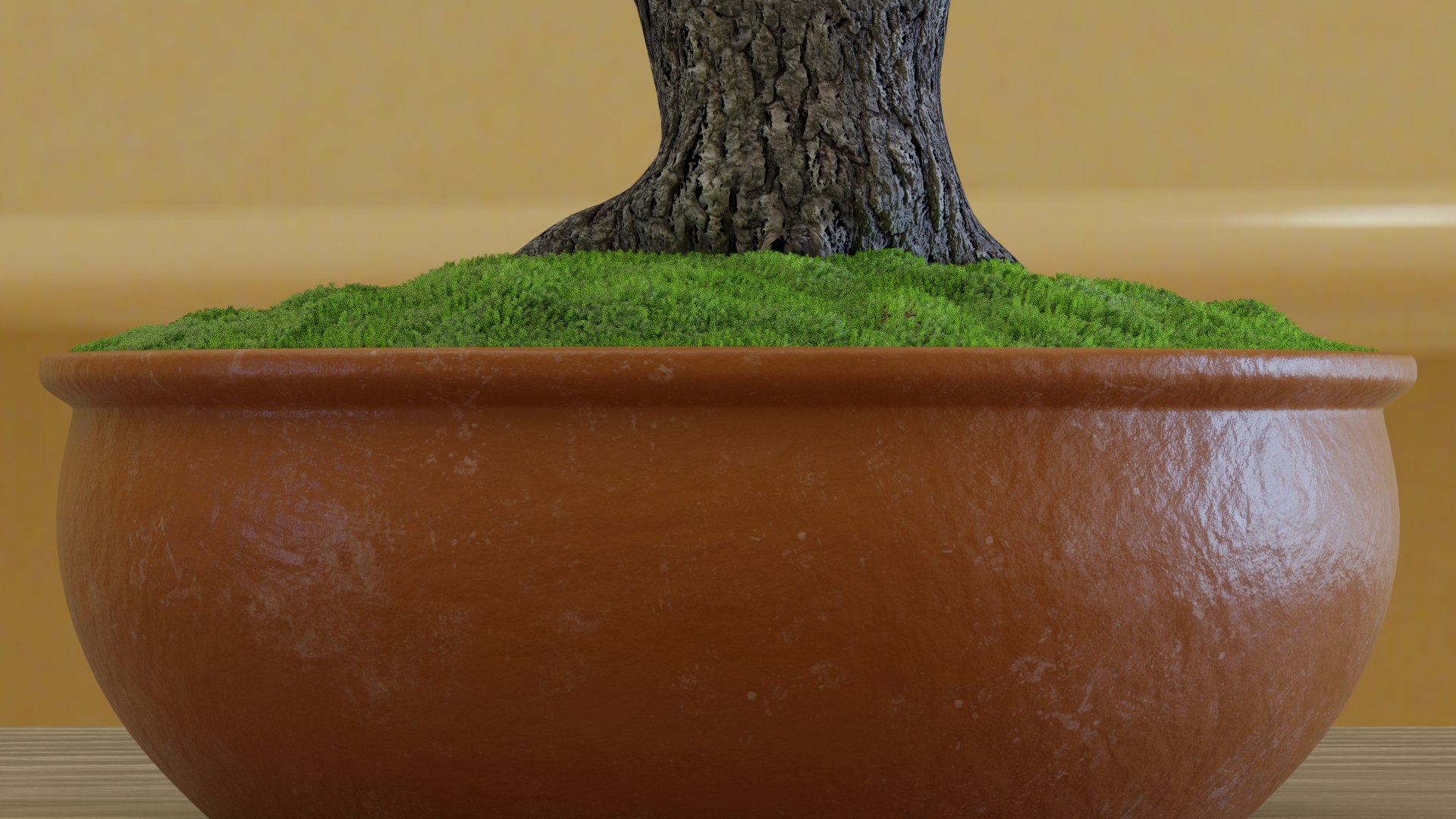 Bonsai Tree 3d Model 3D - TurboSquid 1987545