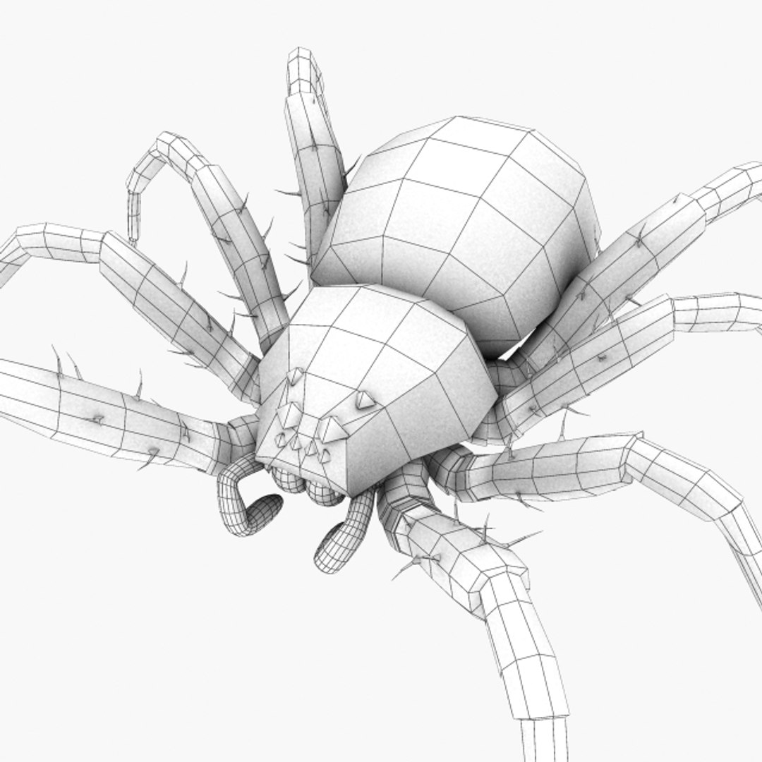 3d Model Spider Wolf