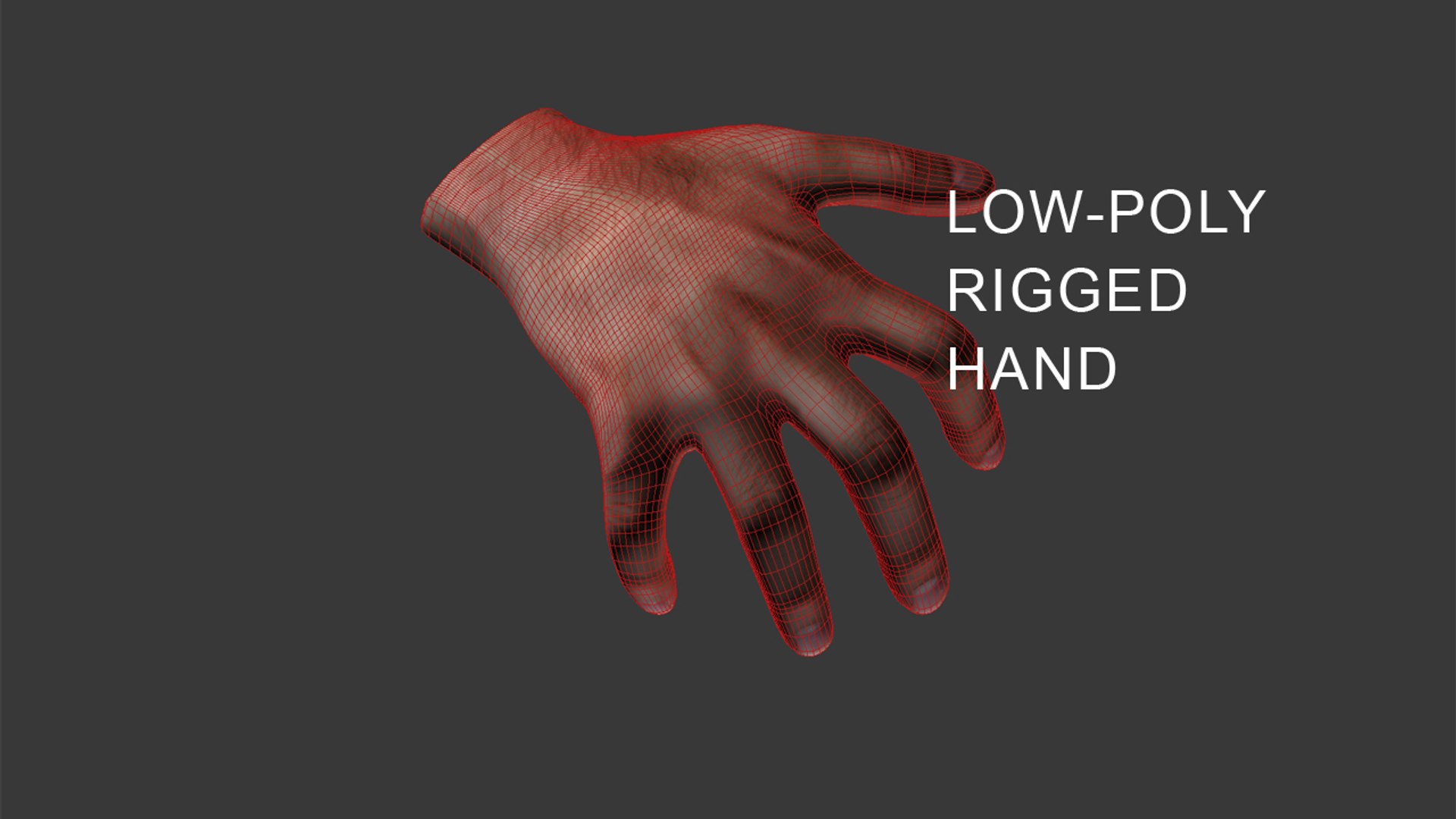 3d Hand Rigged
