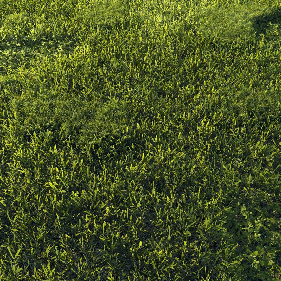 3D Real Grass Model - TurboSquid 1602251