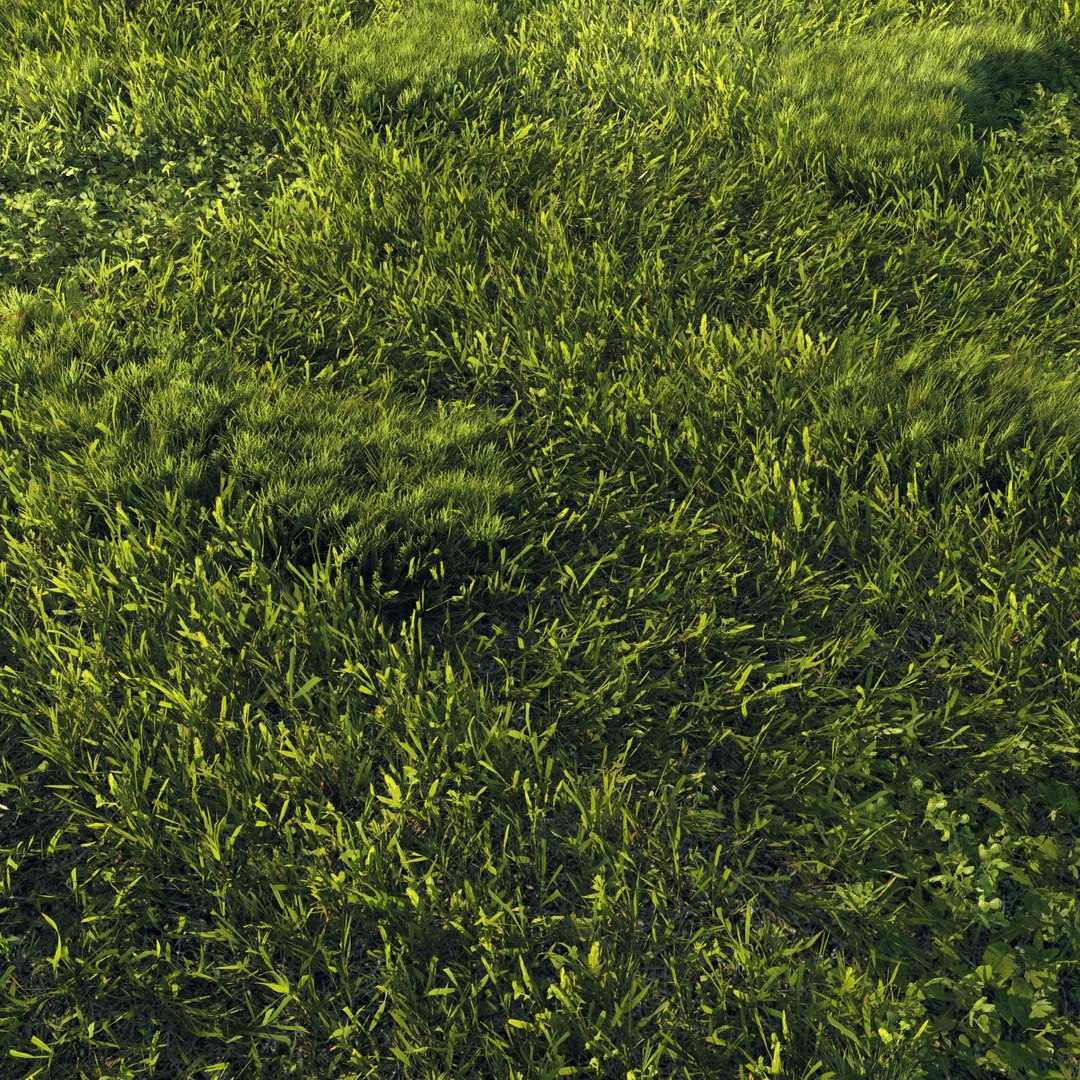 3D Real Grass Model - TurboSquid 1602251