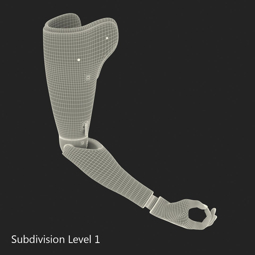 prosthetic arm rigged max