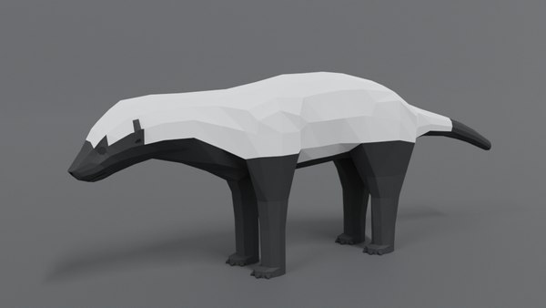 Badger 3D Models for Download | TurboSquid
