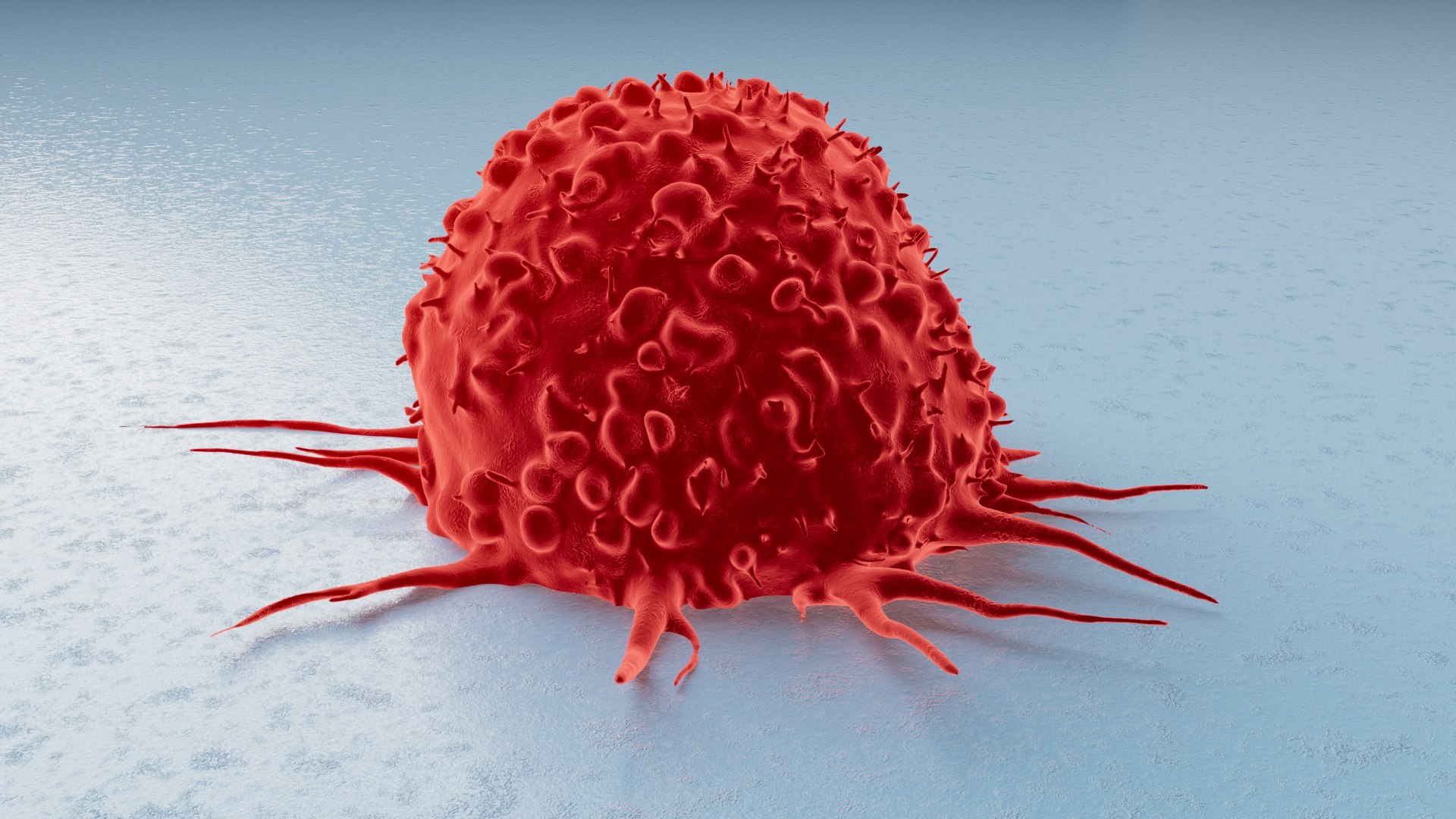 Cancer Cell 3d Turbosquid 2255059