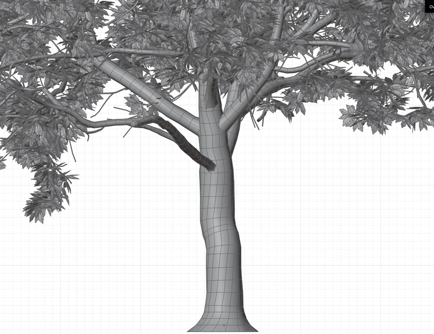 3D Ash Tree Model - TurboSquid 1606834