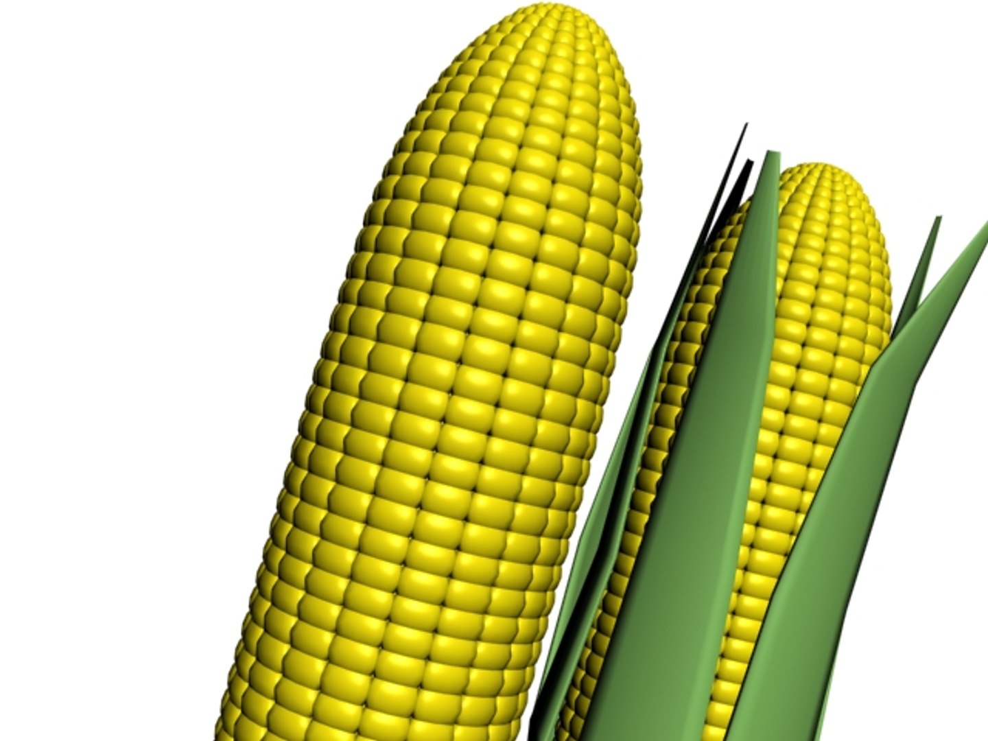 Maize Max