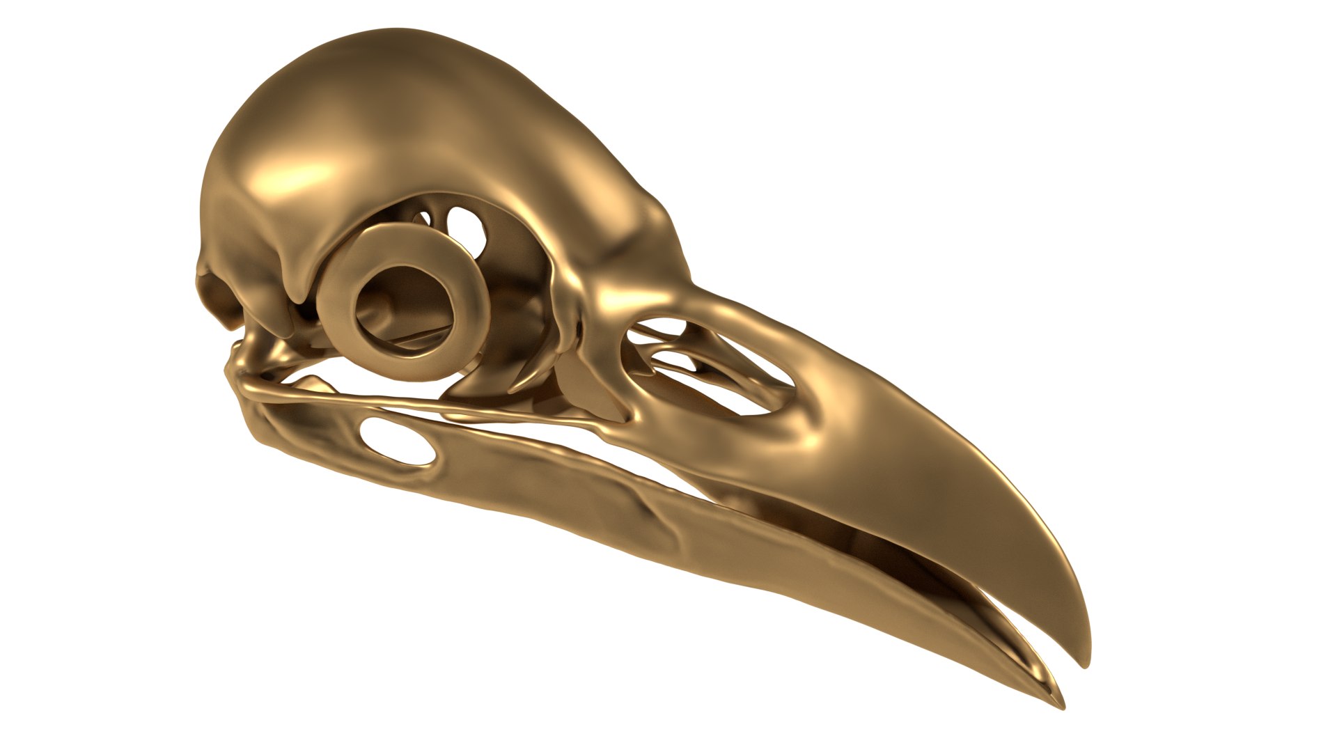 3d Raven Skull Model