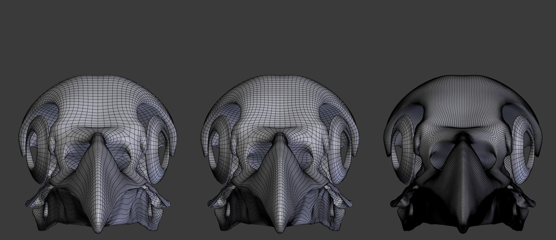 3d Raven Skull Model