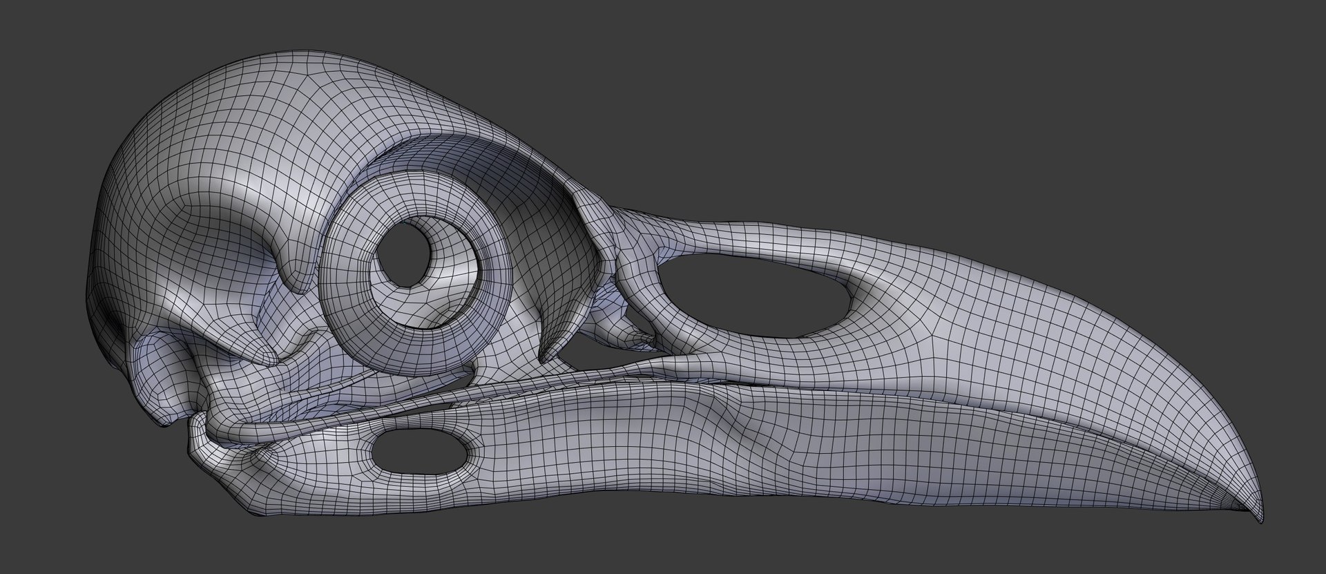 3d Raven Skull Model