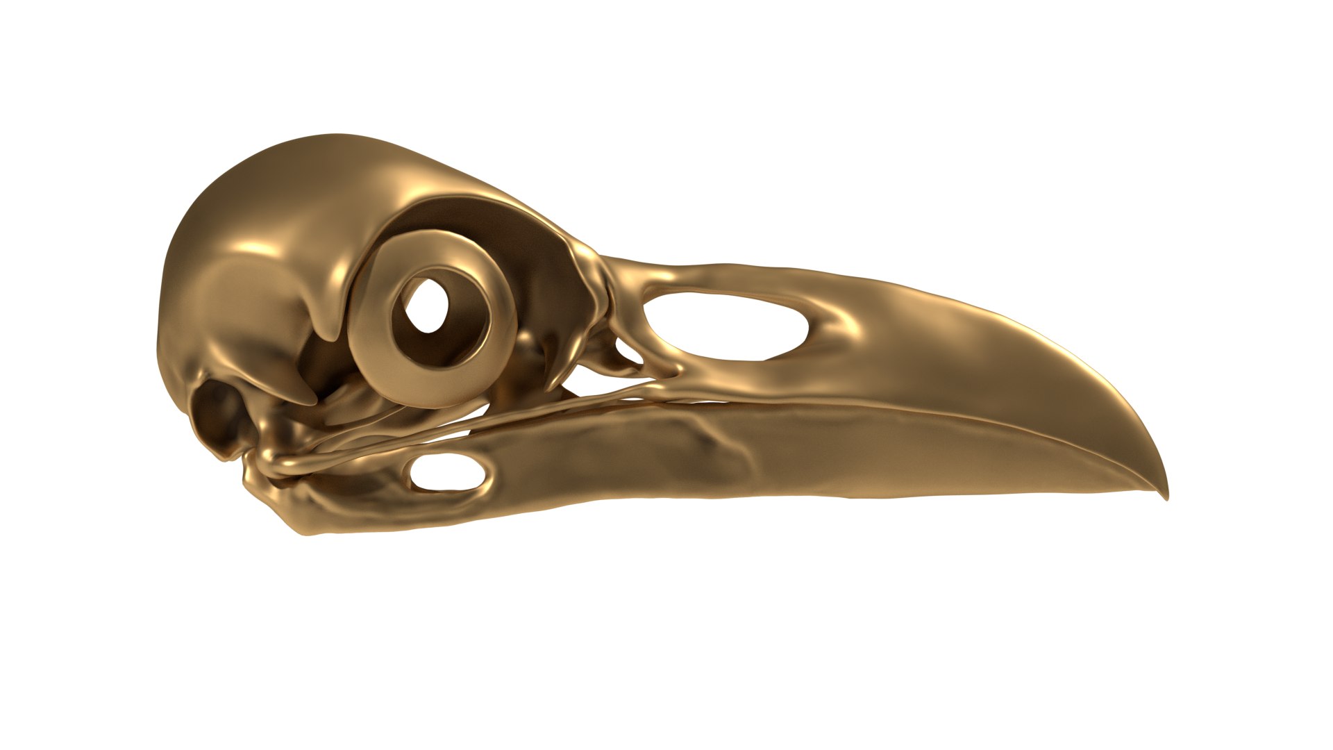 3d Raven Skull Model