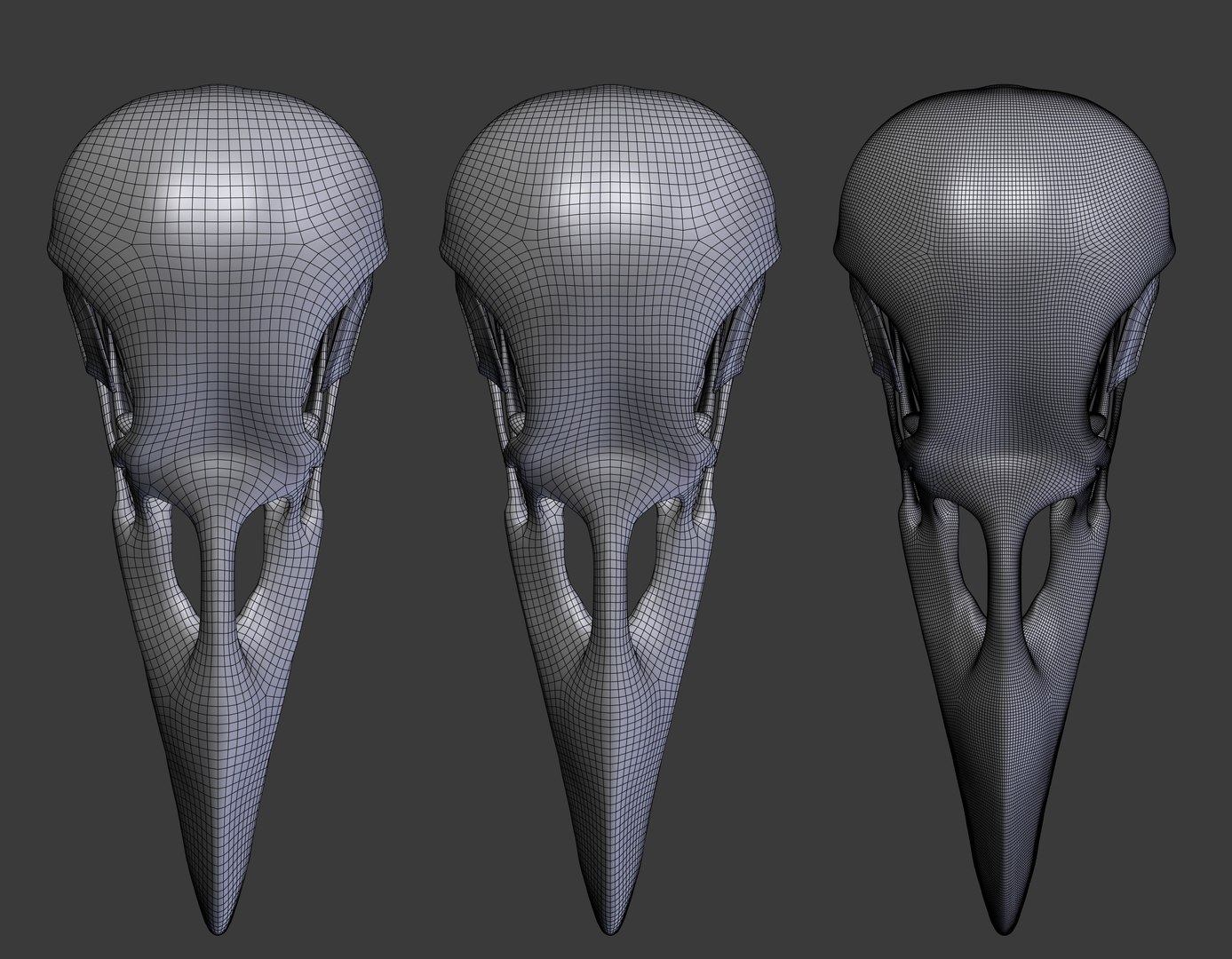 3d Raven Skull Model