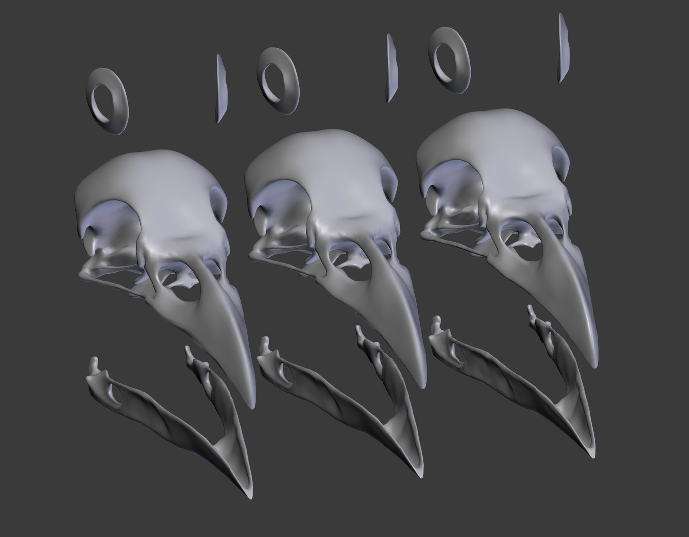 3d Raven Skull Model