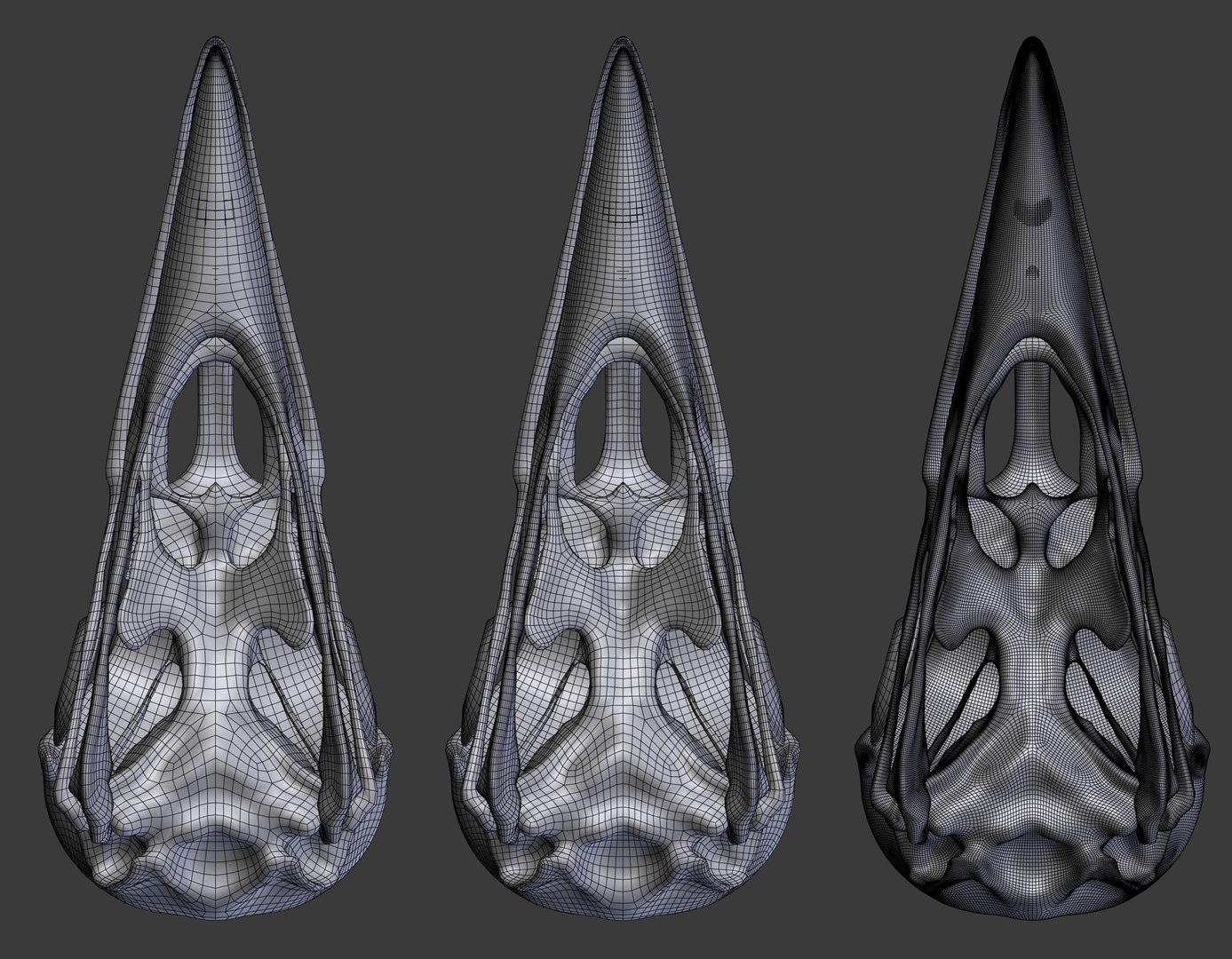 3d Raven Skull Model