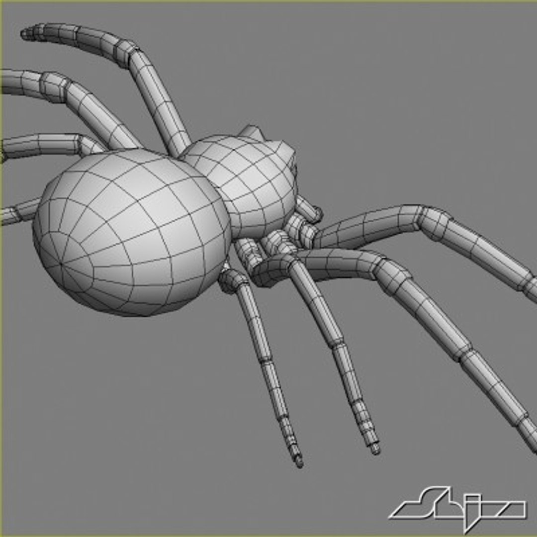 3d Model Spider
