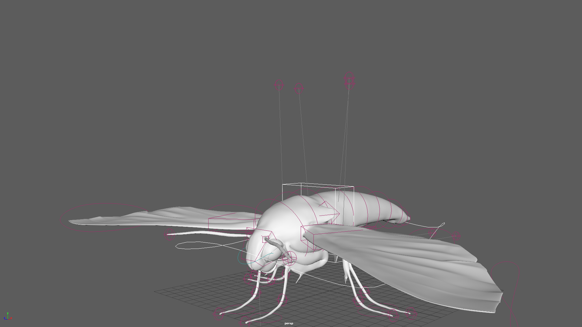 3D Moth Rigged - TurboSquid 1307239