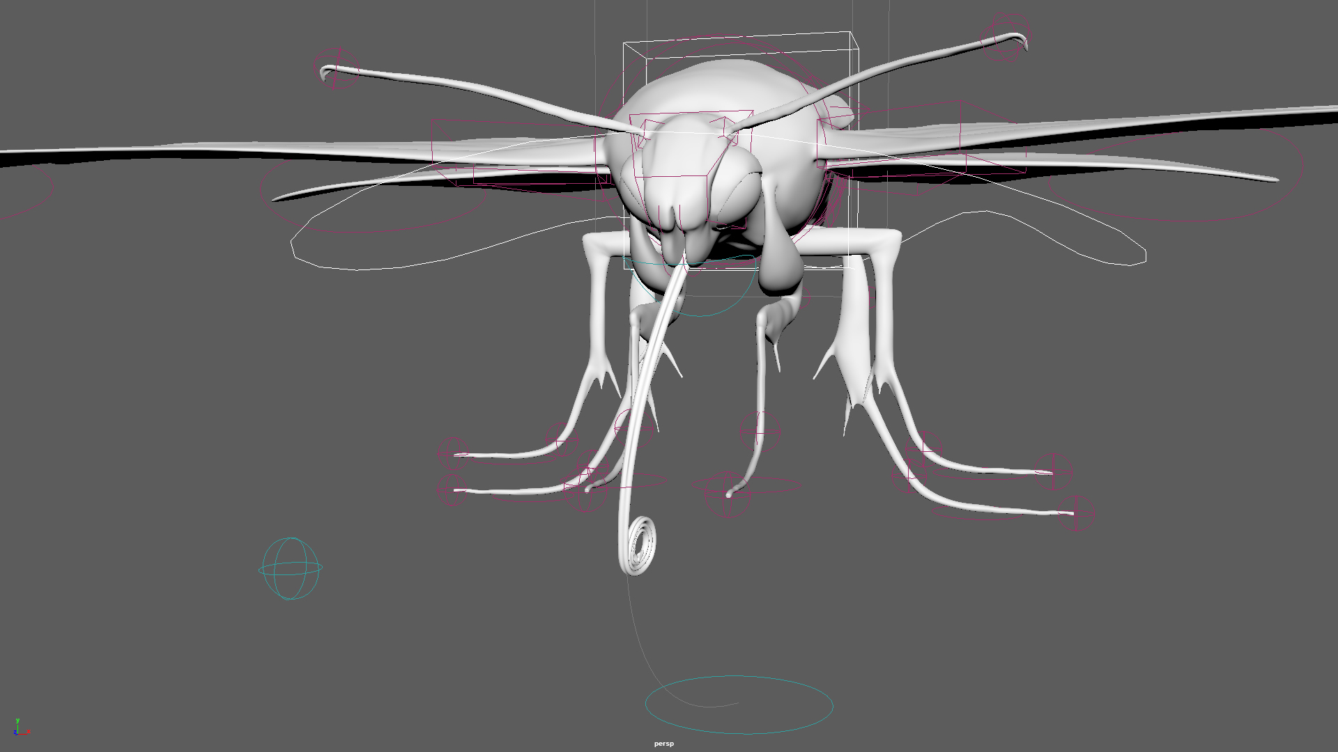 3D Moth Rigged - TurboSquid 1307239