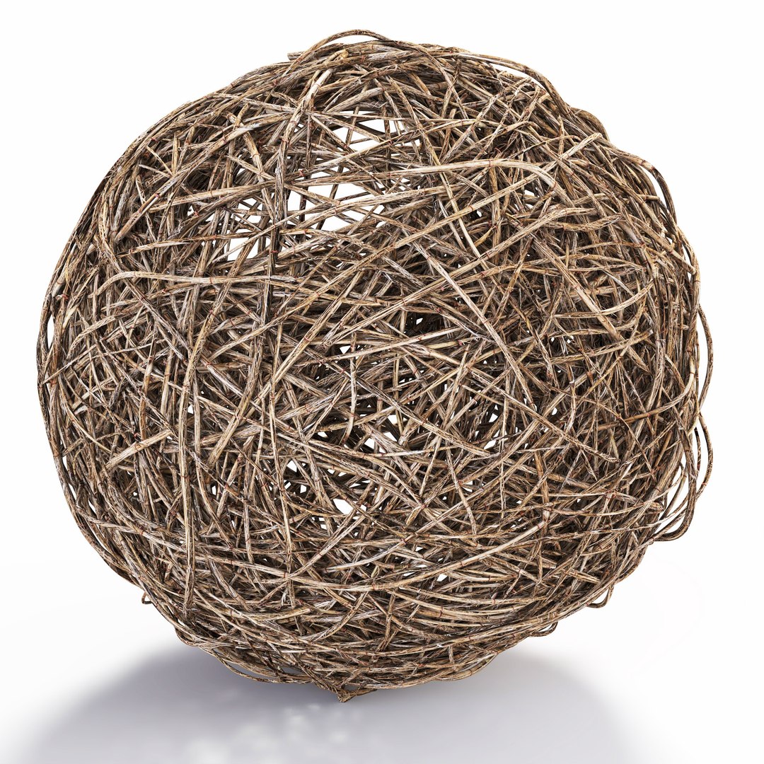 3D Nest n3 model - TurboSquid 2159904