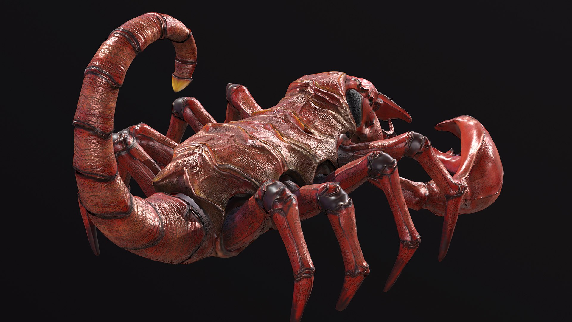 3D Scorpion - TurboSquid 1719680