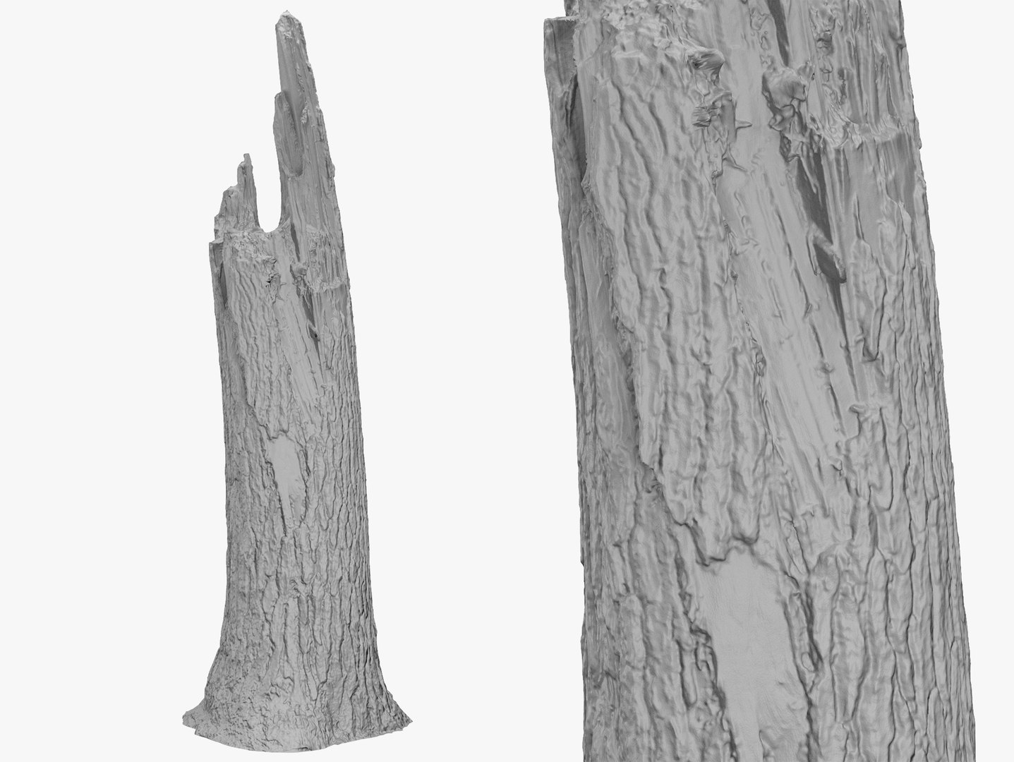 3D Broken Tree Trunk - TurboSquid 1465566