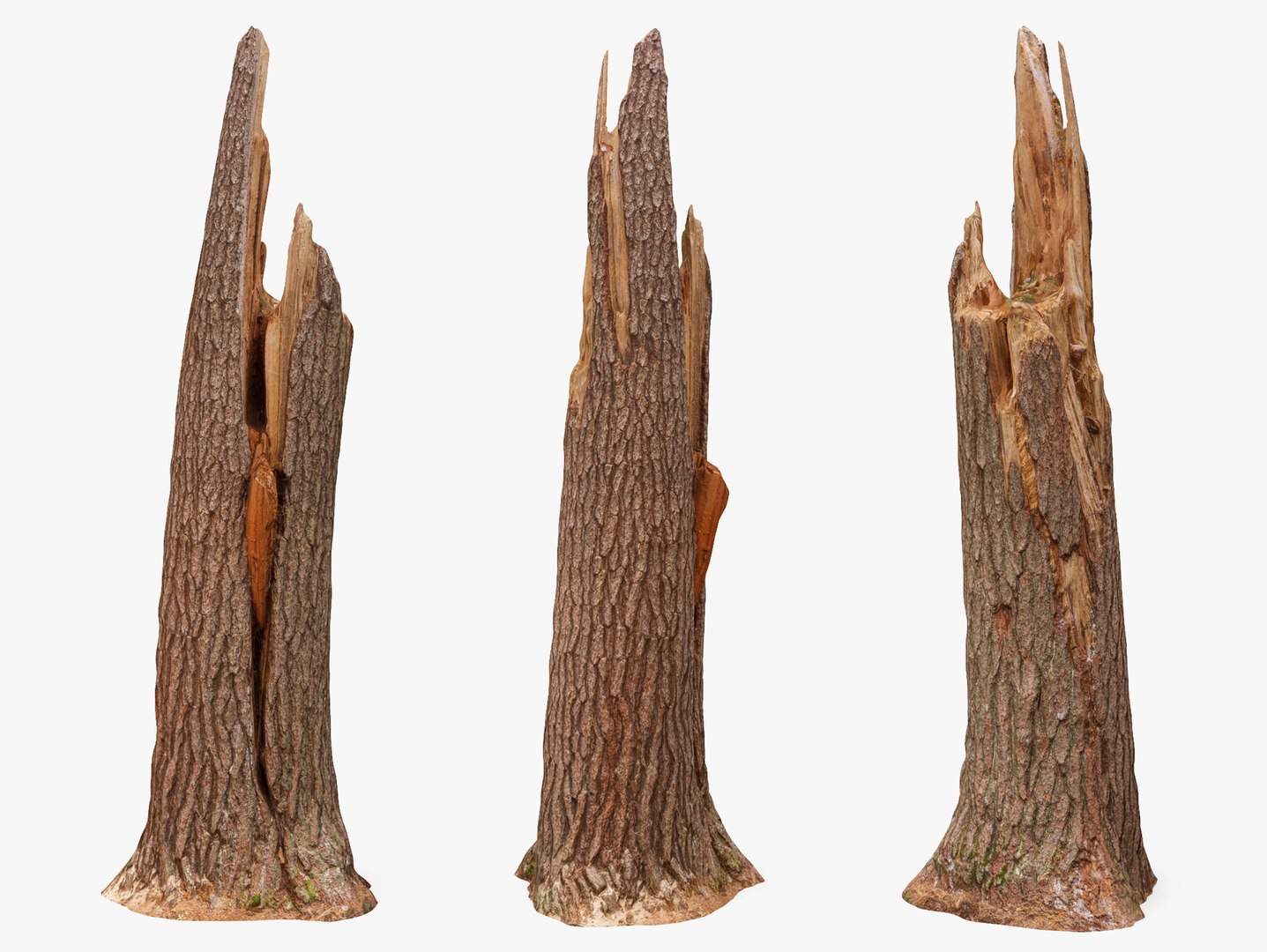 3D Broken Tree Trunk - TurboSquid 1465566