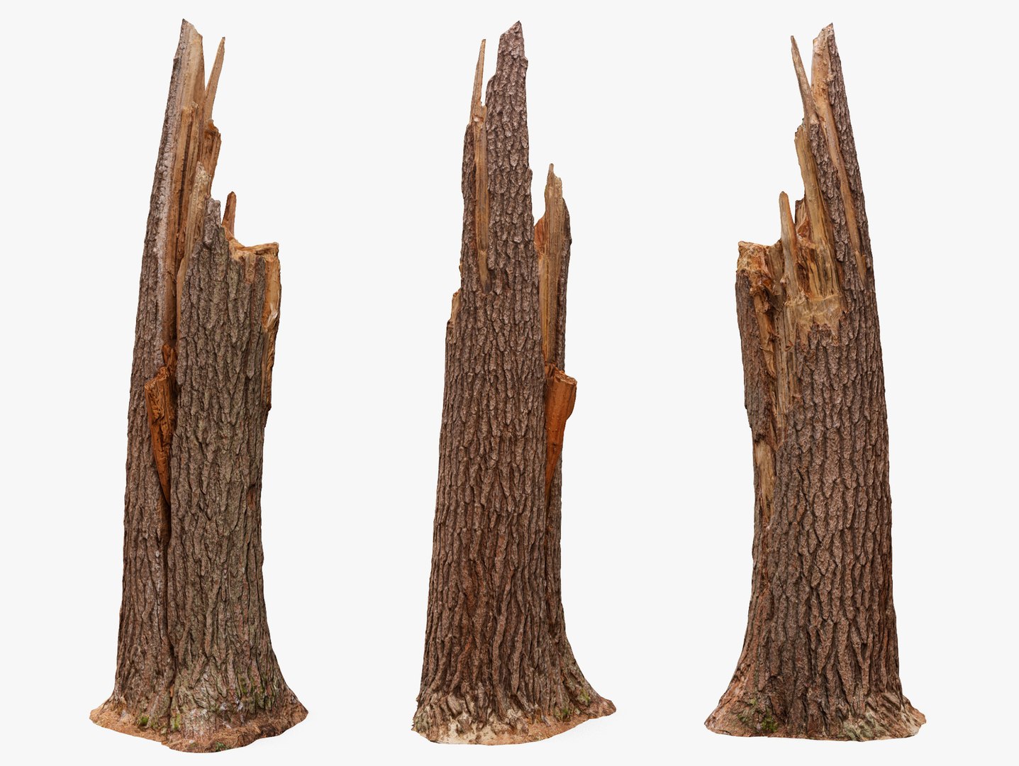 3D Broken Tree Trunk - TurboSquid 1465566