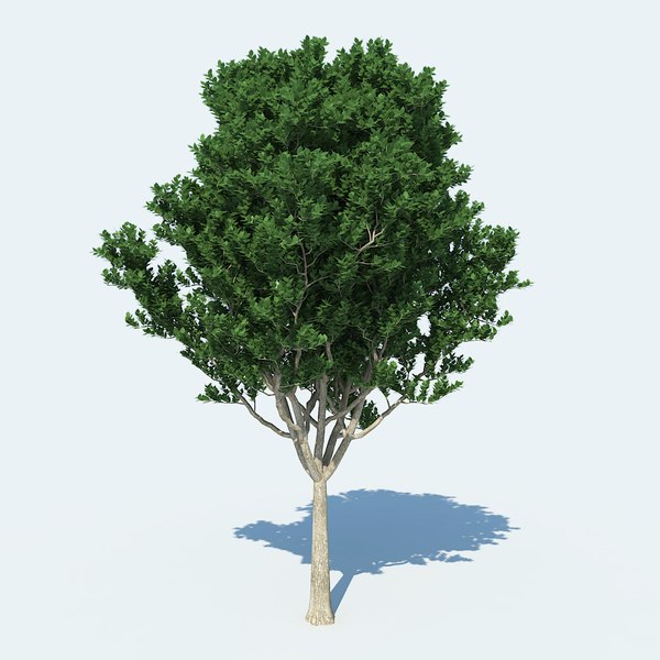 3d model of tree v1