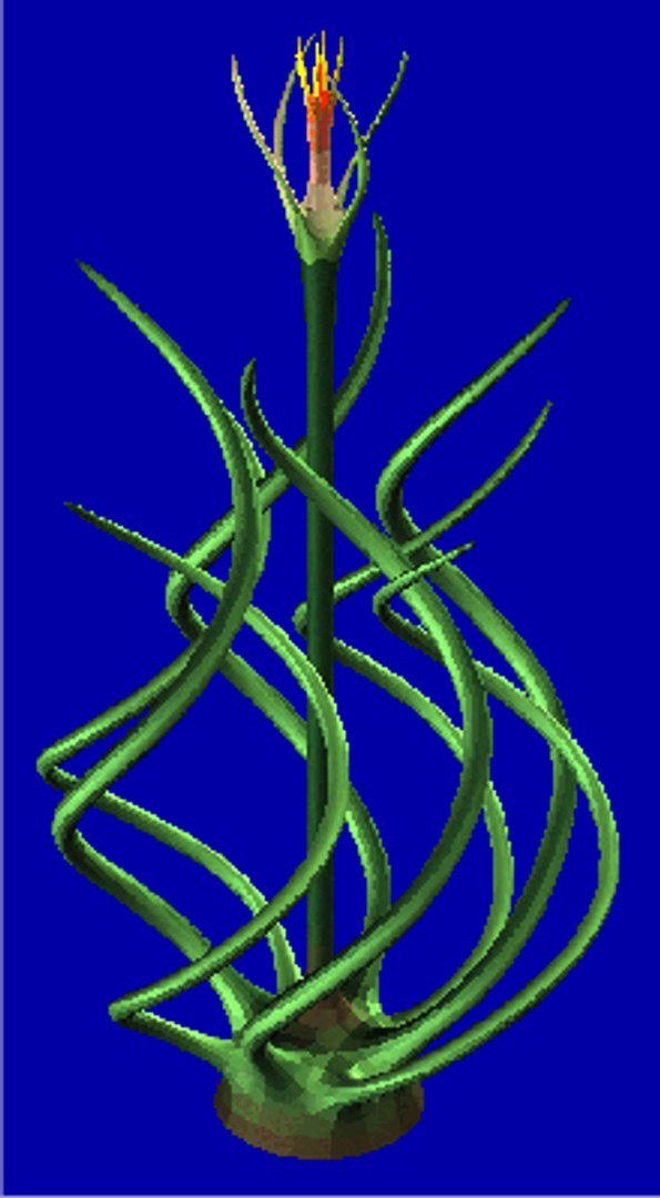original alien trees plants 3d model