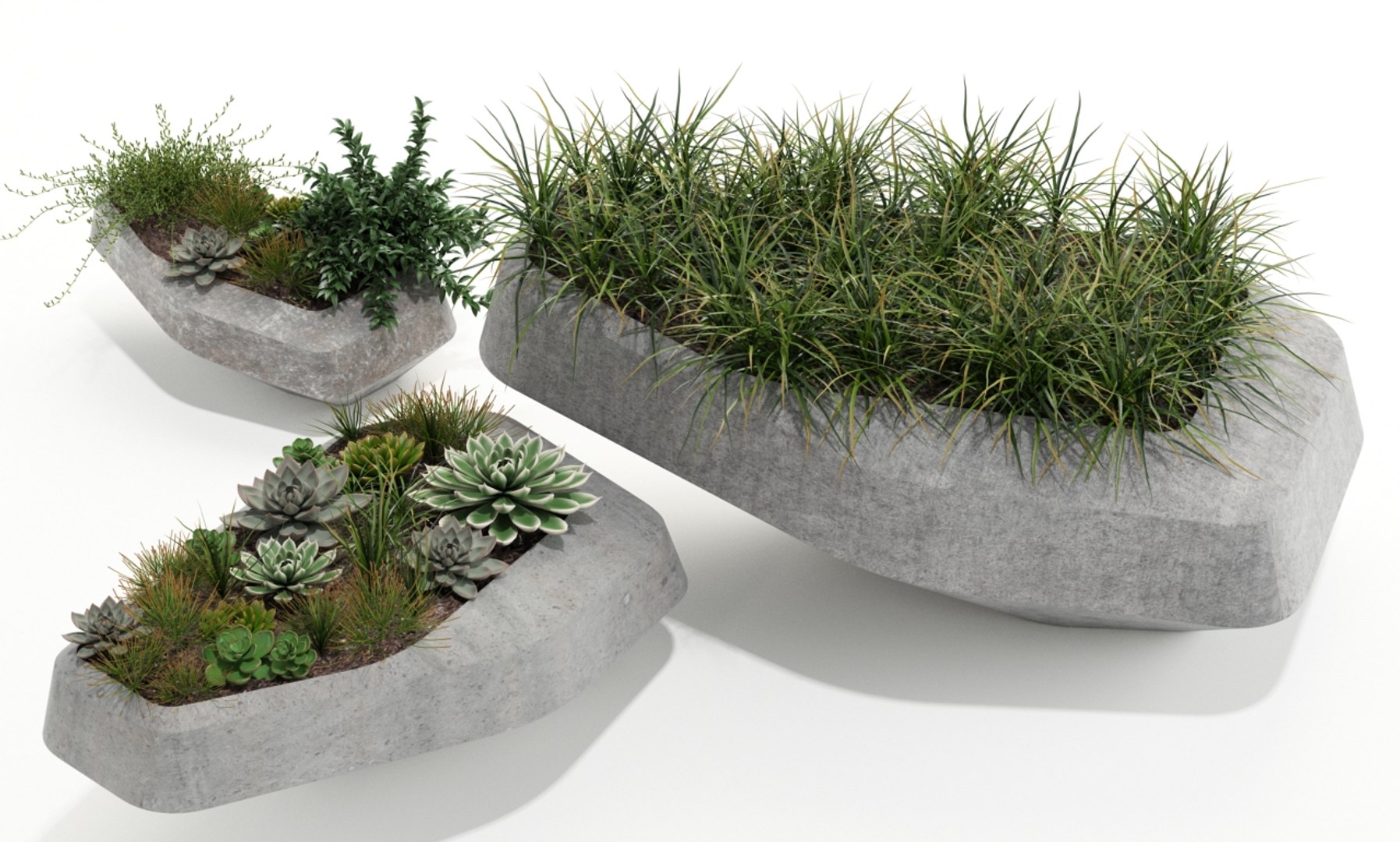 Plants 132 Indigenus Steen 3D - TurboSquid 1348677