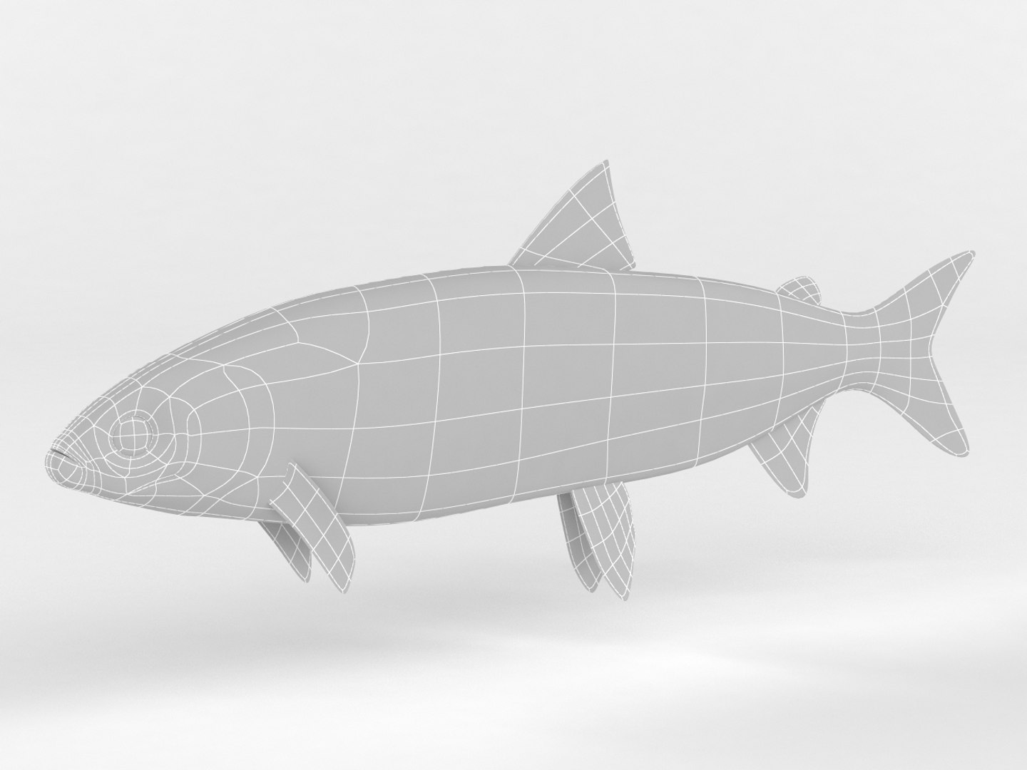 3D Fish Whitefish Model - TurboSquid 1446189