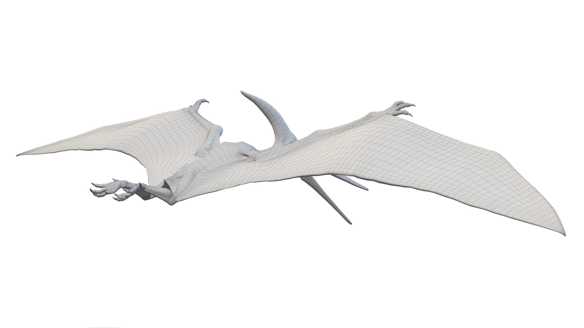 Pteranodon 3D model - TurboSquid 1665964