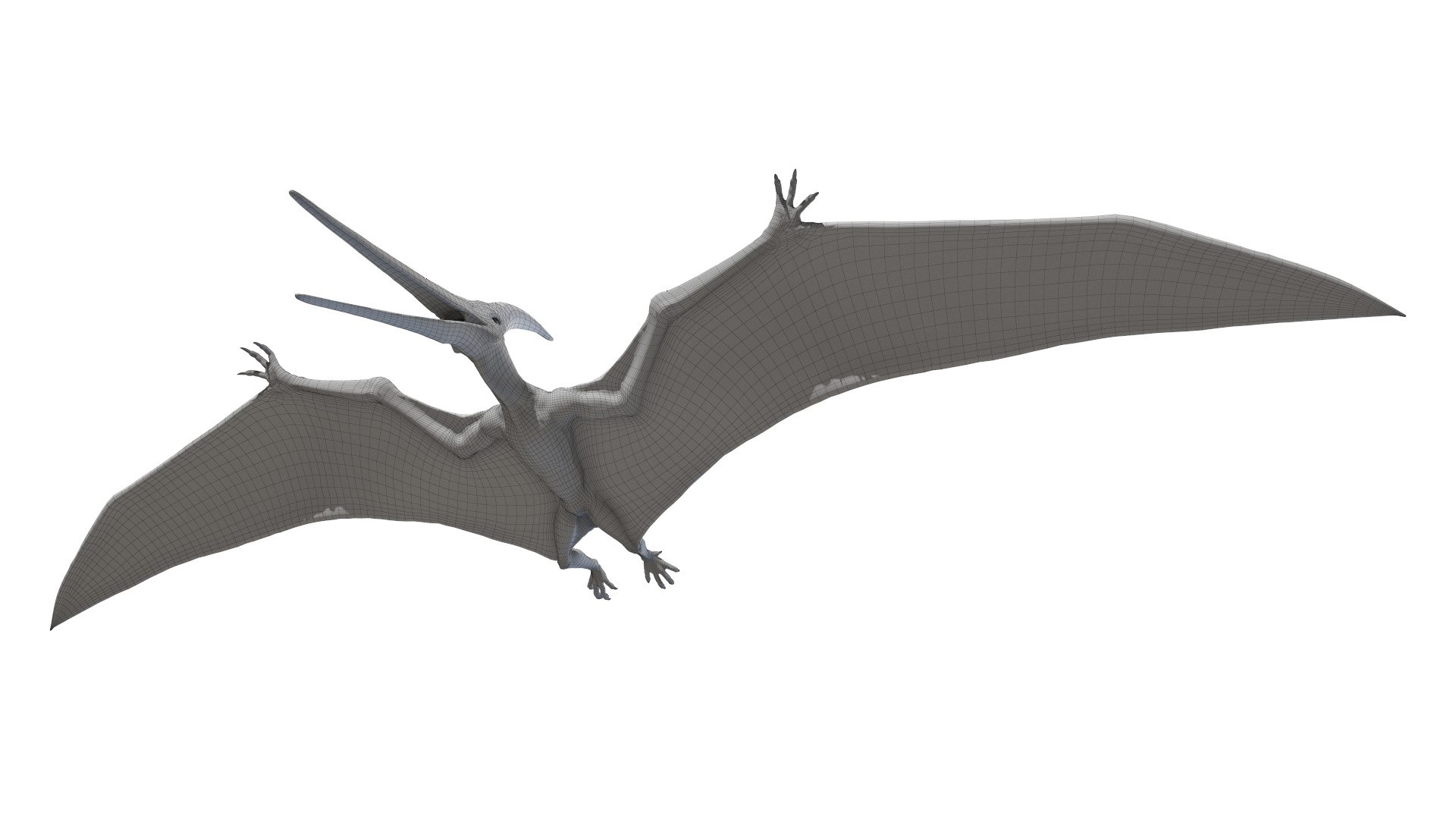 Pteranodon 3D model - TurboSquid 1665964