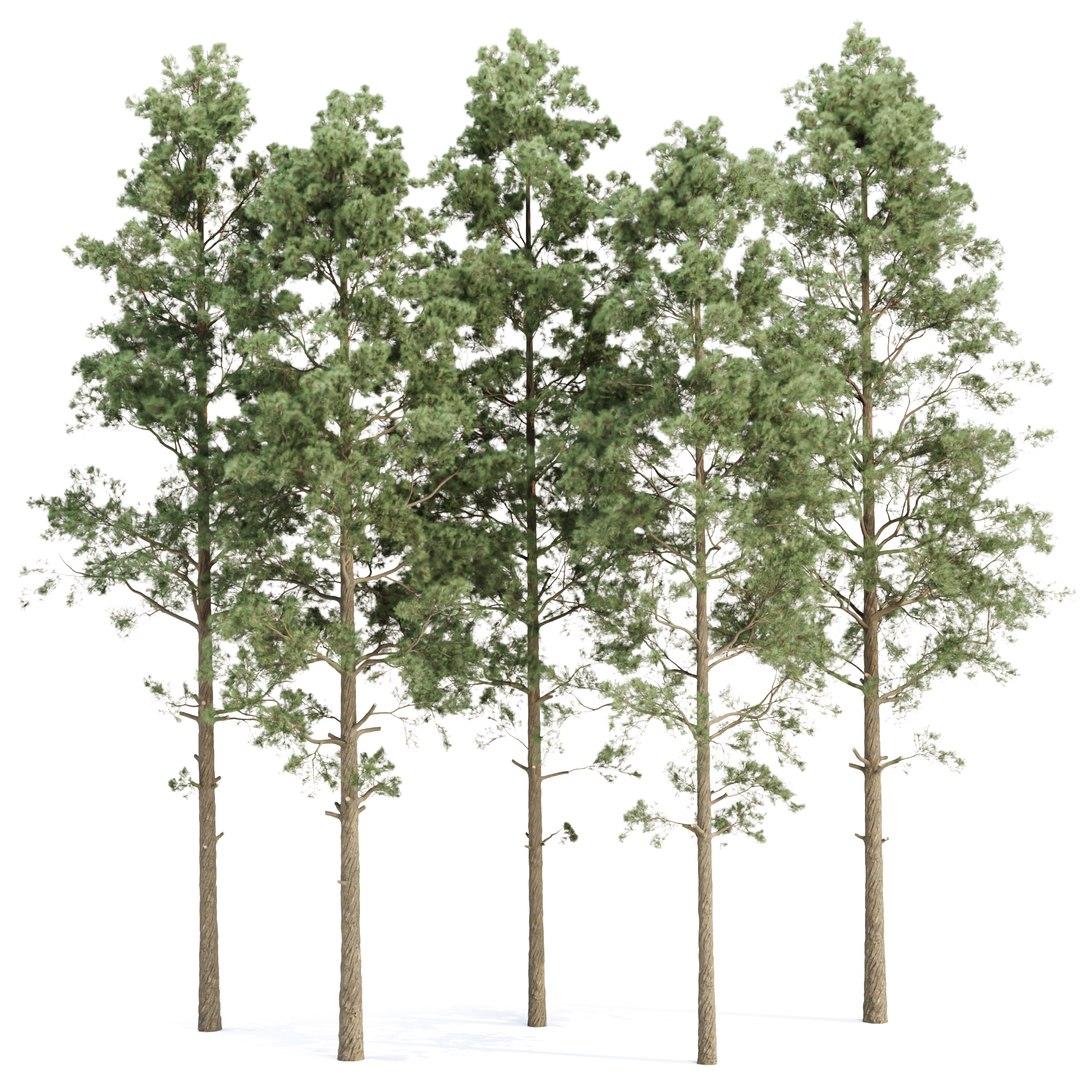 Pine Trees Collection Vol 234 3D Model - TurboSquid 2120511